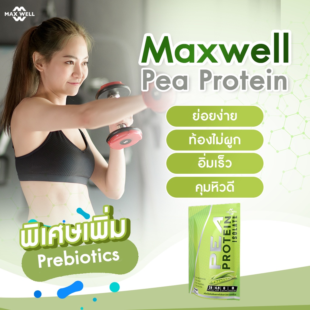 MAXWELL Pea Protein Isolate เติม prebiotics โปรตีนถั่วลันเตา โปรตีนพืช ...
