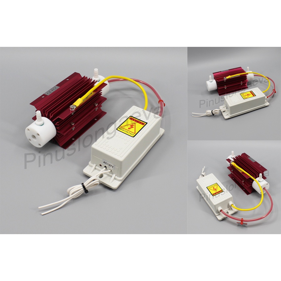 Pinus longaeva 5GH 5grams Quartz tube ozone generator Kit new ...