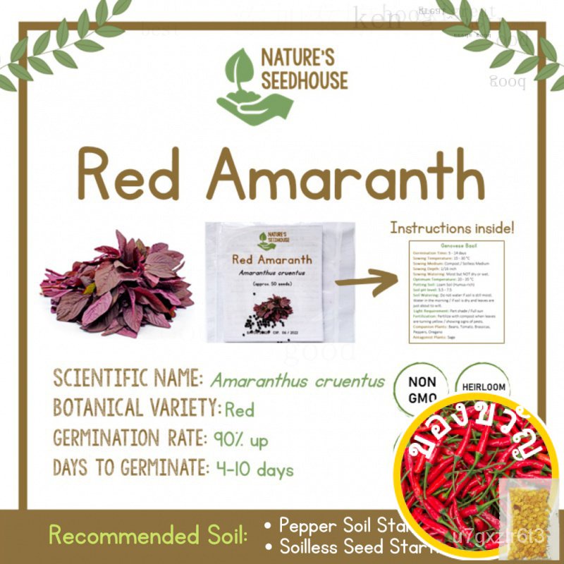 Red Amaranth Seeds Kulitis Seeds Herb Seeds Vegetable Seeds Plant Seeds ...