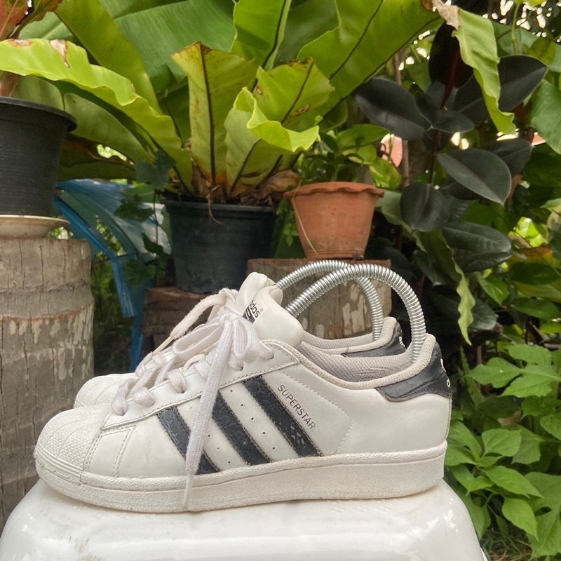 adidas superstars ของแท้ - sunantinee12 - ThaiPick