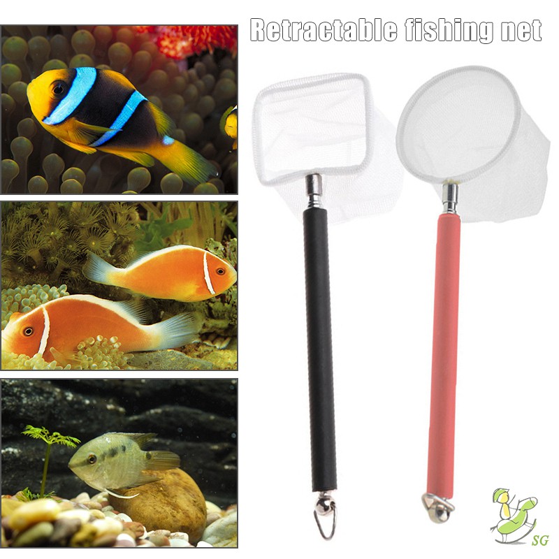 Retractable 3D Aquarium Stainless Steel Fishnet Pocket Shrimp Catching ...