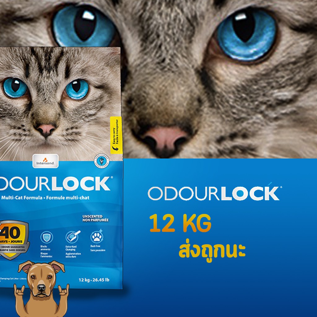 OdourLock 12 Kg. จัดด่วน ทรายแมว cat litter เกรดอัลตราพรีเมียม 12 กก. ...