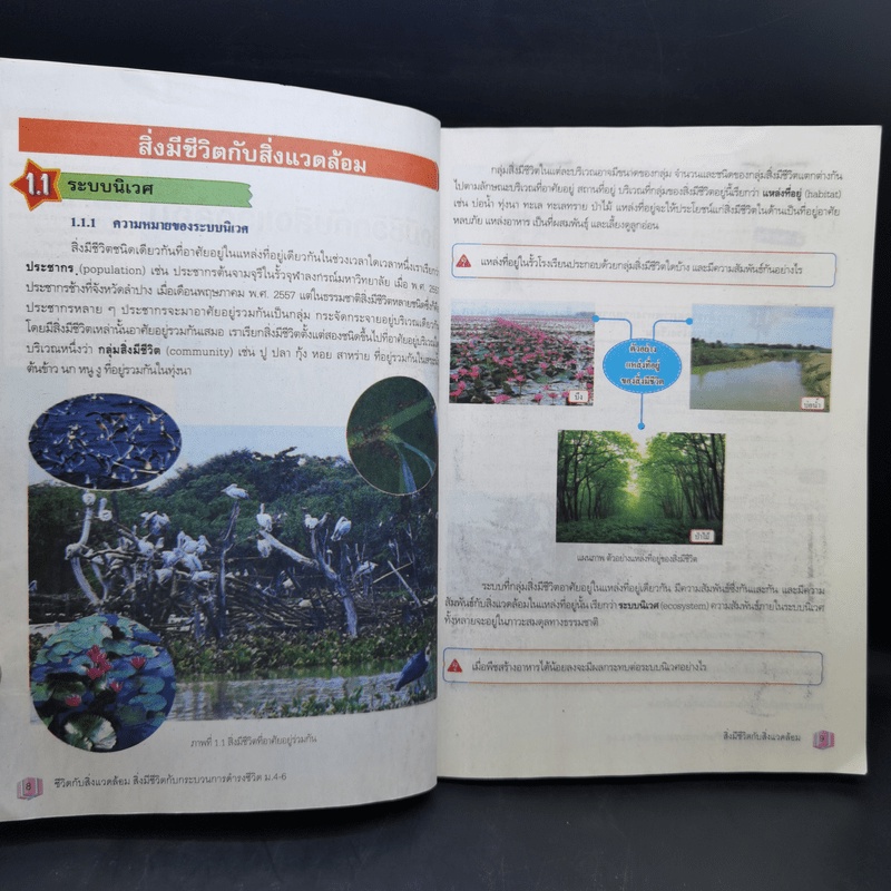 ชีวิตกับสิ่งแวดล้อม สิ่งมีชีวิตกับกระบวนการดำรงชีวิต ชั้นมัธยมศึกษาปี ...