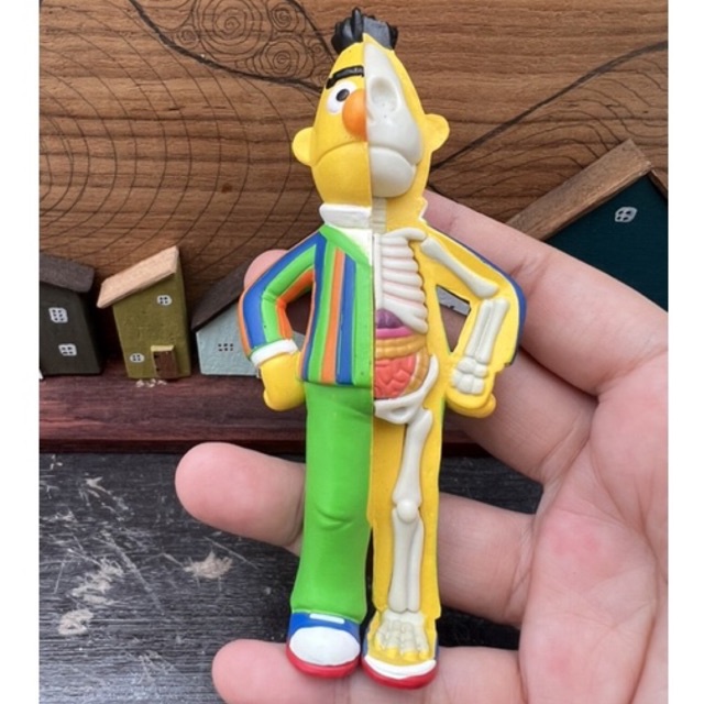 Mighty Jaxx งานแท้ 2019 ใน Sesame Street โชว์ anatomy ครึ่งตัว งานดี ...