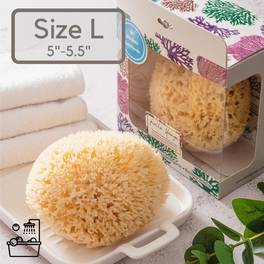KALLA SPONGE ฟองน้ำธรรมชาติ ชนิด Honeycomb สีเหลือง สำหรับอาบน้ำ (FREE EMS) - kallasponge ...