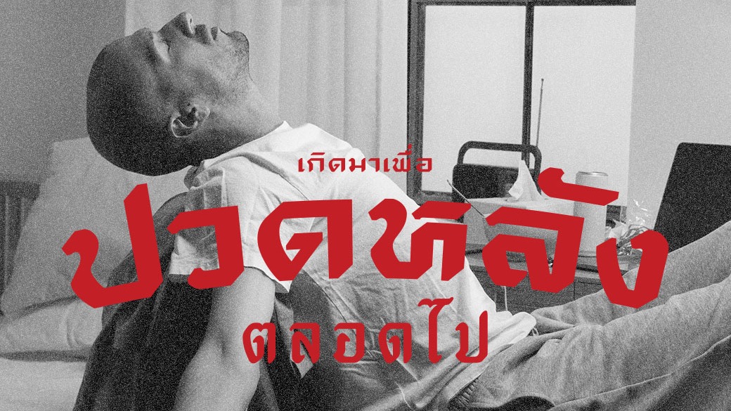 akkara.bangkok official, ร้านค้าออนไลน์ | Shopee Thailand