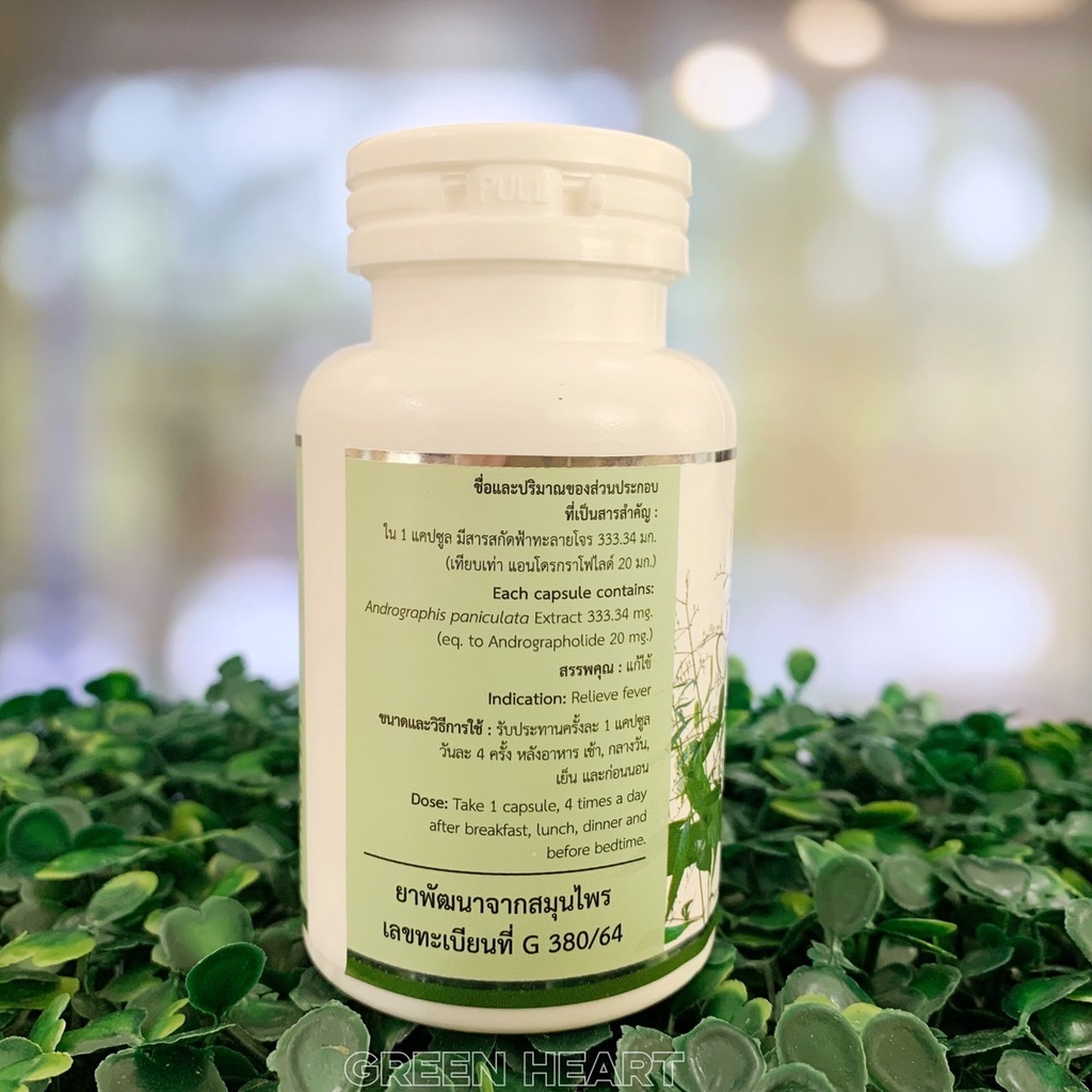 อภัย แอนโดร สารสกัดฟ้าทะลายโจร Abhai Andro Andrographis Extract Capsule (บรรจุ 30 แคปซูล) 1 ...
