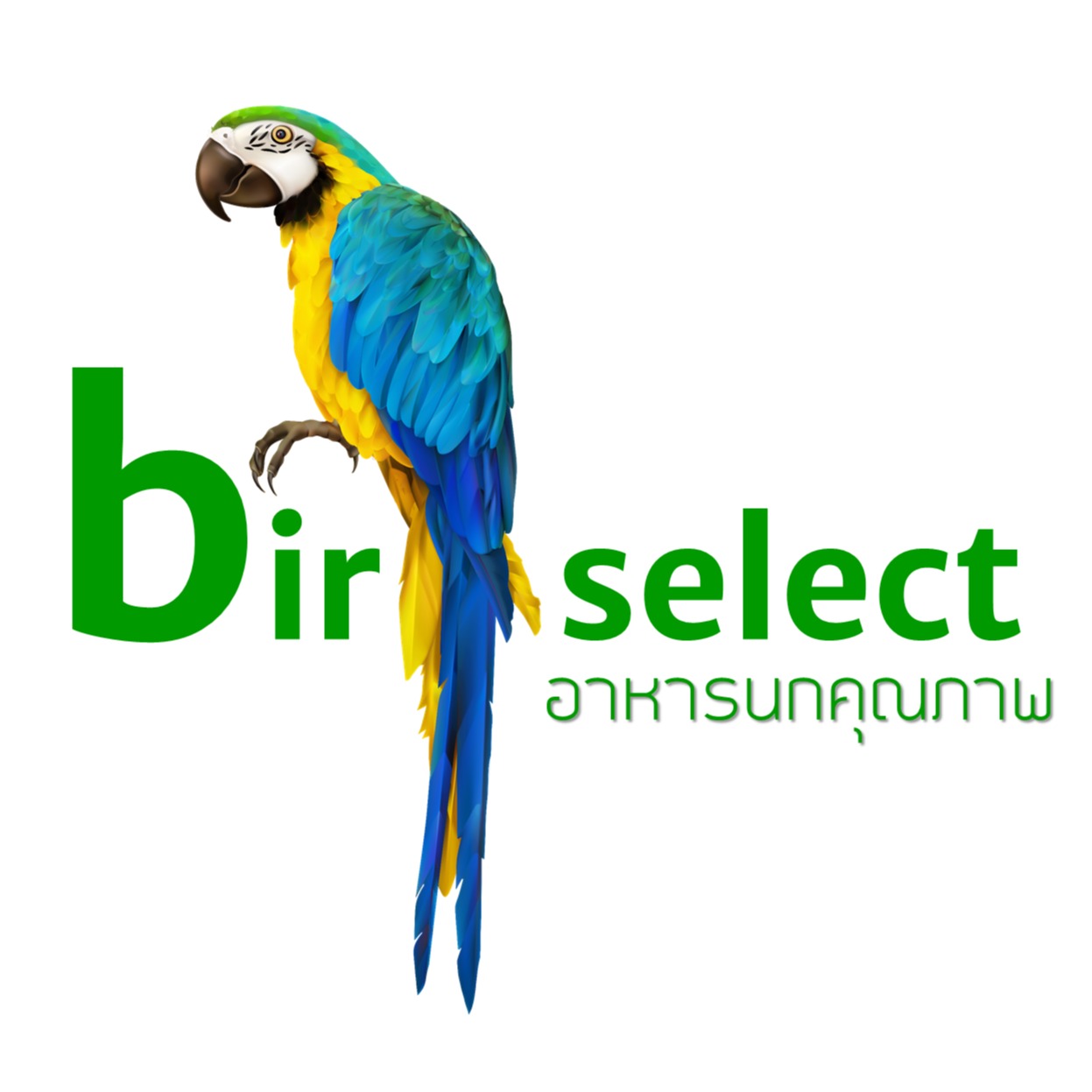 อาหารนก Bird select, ร้านค้าออนไลน์ | Shopee Thailand