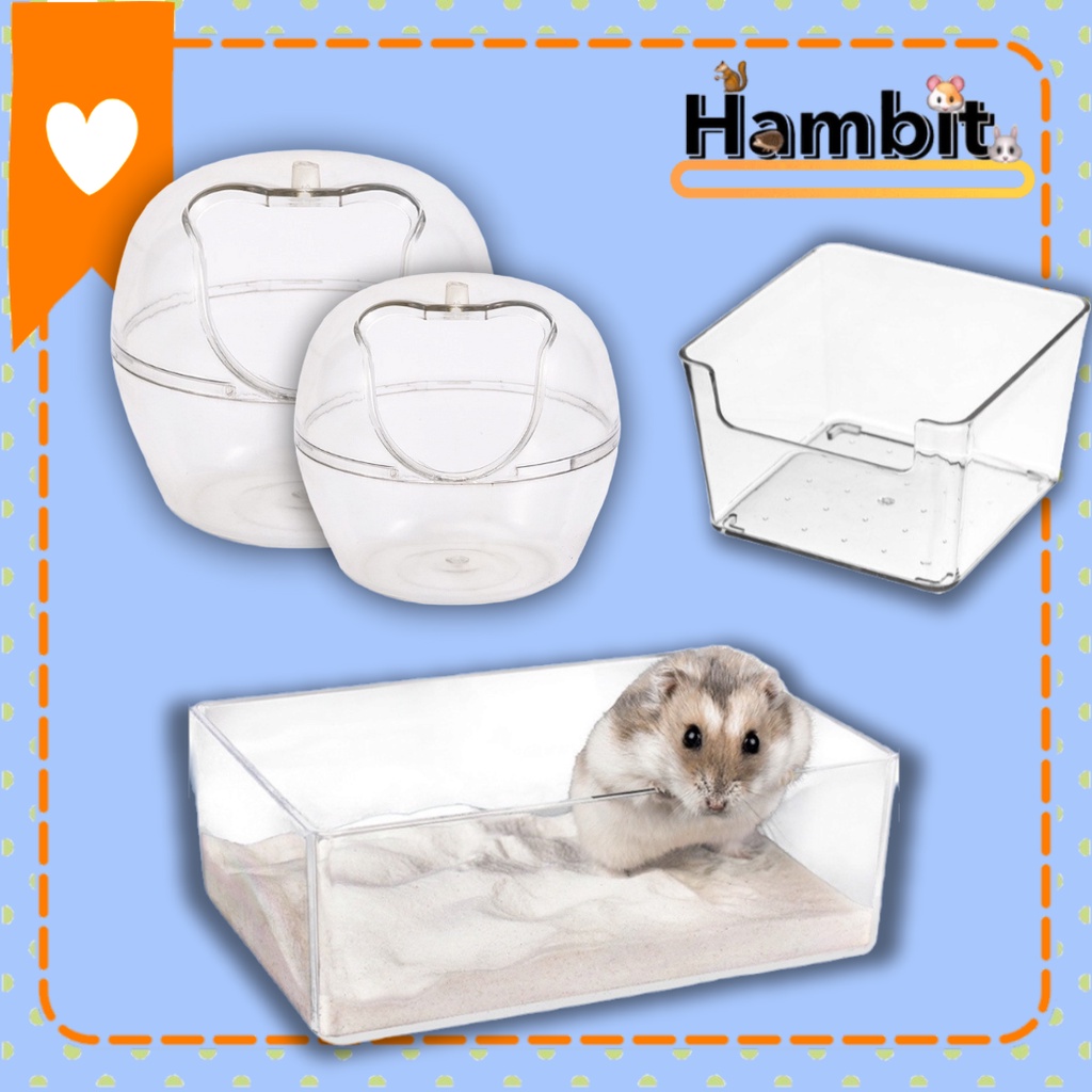 Hambit. ของเล่นแฮมสเตอร์ใส - hamster.hambit - ThaiPick