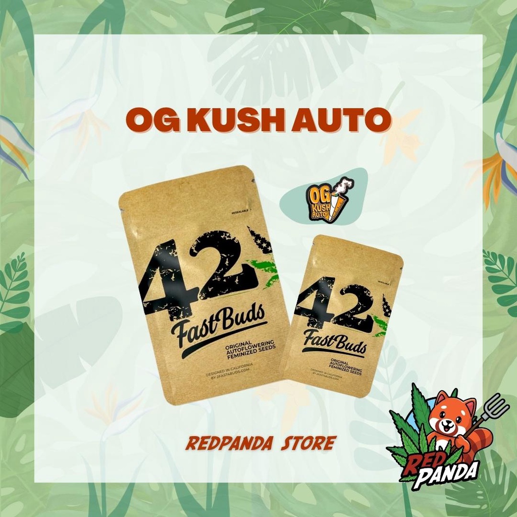 Fastbuds เมล็ดพันธุ์ OG Kush Auto เมล็ดกัญชานอก เมล็ดกัญชาค่าย Fastbuds ...