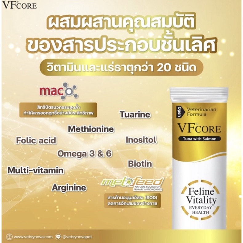 VF Core(วีเอฟคอร์พลัส) Feline Vitality แบบกล่อง 30 ซอง วิตามินรวมสำหรับ ...