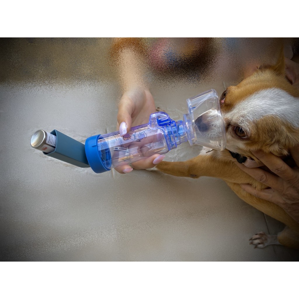 Pet Spacer กระบอกพ่นยาสัตว์เล็ก (size S)เช่น ชิสุ บั้ค ปอม พูเดิ้ล ชิวา ...