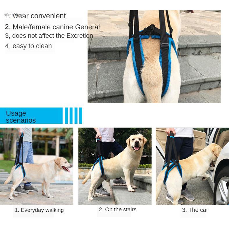 DY Loving Pet Leg Walking Brace Adjustable Dog Auxiliary Strap Shoulder ...