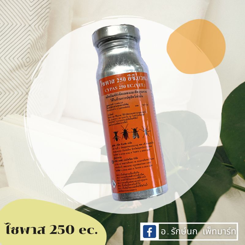 cypas ถูกที่สุด พร้อมโปรโมชั่น พ.ย. 2024|BigGoเช็คราคาง่ายๆ