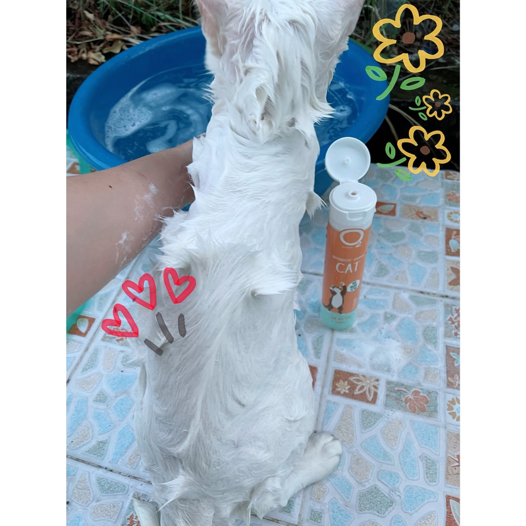 O2 Shampoo แชมพู แมว Cat Kitten หรือ Premium Cat ขนาด 500ml กำจัดเชื้อ ...