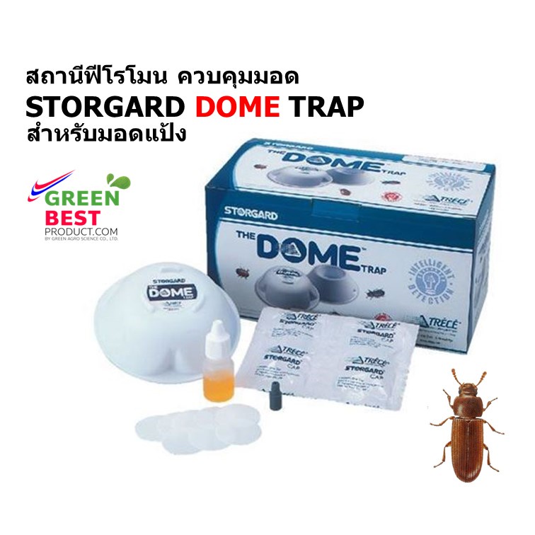สถานีฟีโรโมน ควบคุมมอดแป้ง สตรองการ์ด โดม สำหรับแป้ง STORGARD DOME for ...