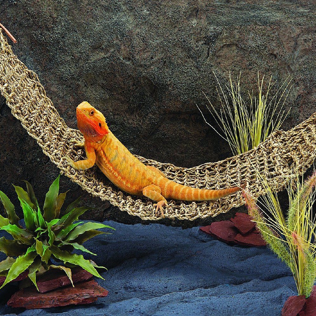 Bearded Dragon Lizard Lounger X-Large Reptile Toys Hammock Swing 29 X 7 ...