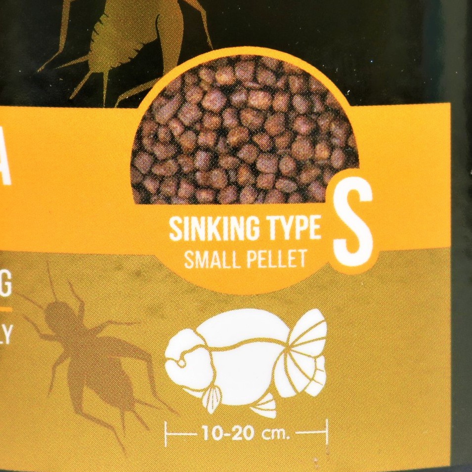 พร้อมส่ง DEEP INSECT INSIDE เม็ดจมน้ำ (อาหารปลาทองสูตรผสมโปรตีนจากแมลง ...