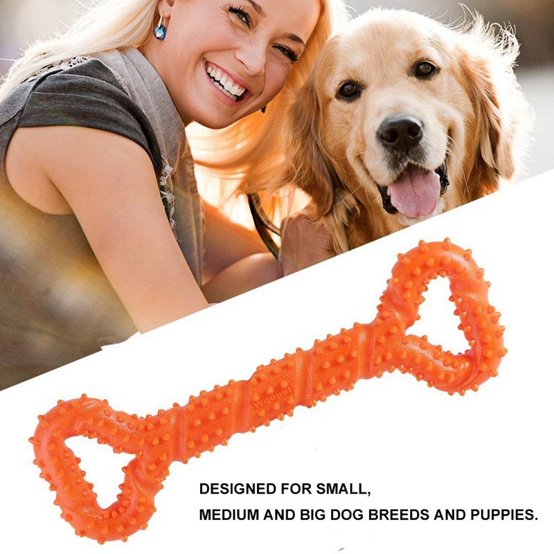 Durable Chew Toys 13 Inch Bone Shape Aggressive Chewers, Interactive Toy for Sma - siokayav3.th ...