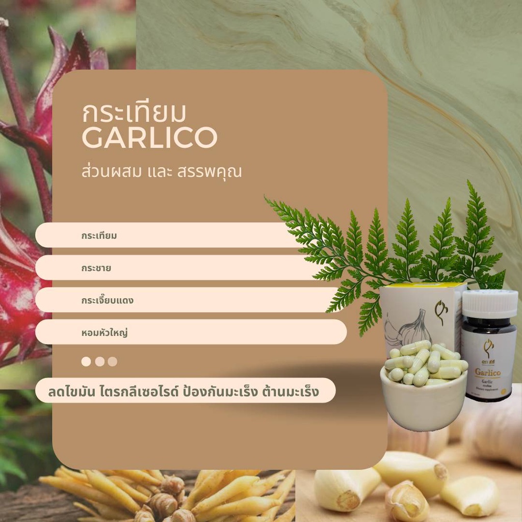 กาลิโค่ Garlico สรรพคุณ ลดไตรกลีเซอไรด์ ไขมันน้อยลง เผาพลาญดีขึ้น ลด ...