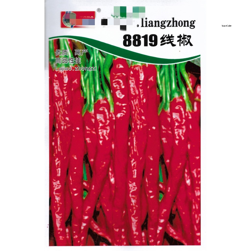 เมล็ดพริกโจลอง 500 เมล็ด เมล็ดพริกยาวจีนยอดนิยม เมล็ดนำเข้า พันธุ์แท้ ...