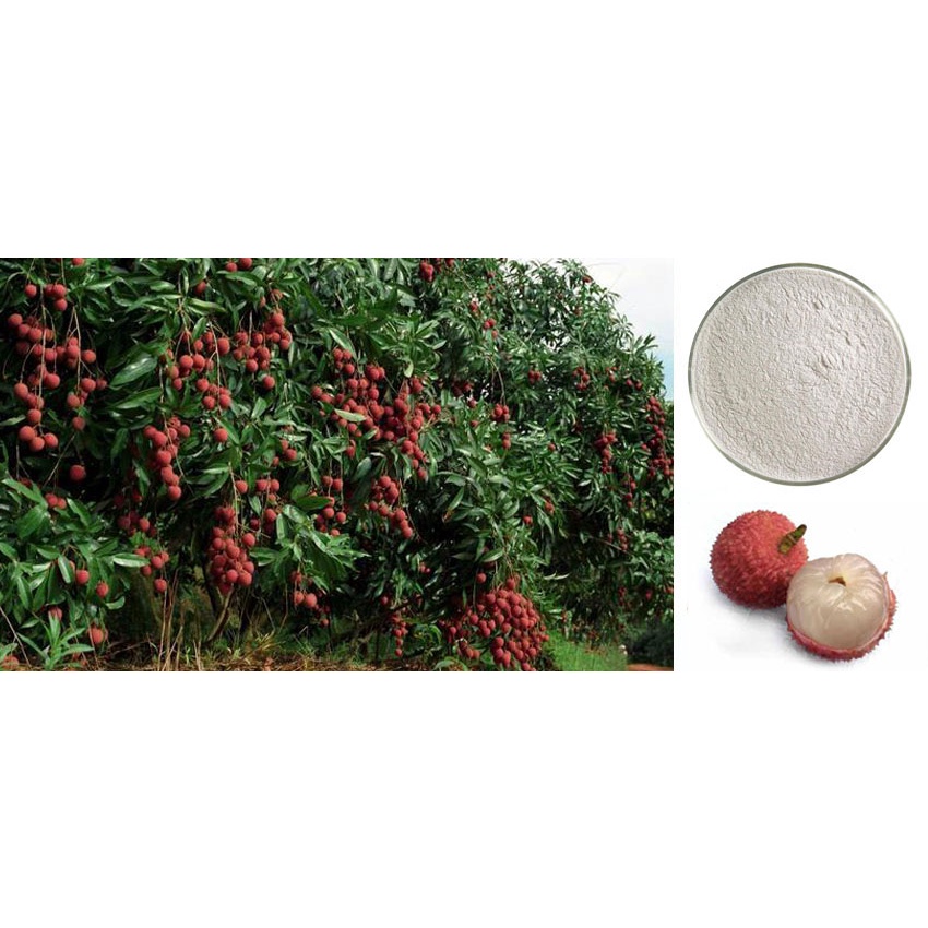 100 Pure Natural litchi Juice Powderlitchi Fruit Powder free shipping ...