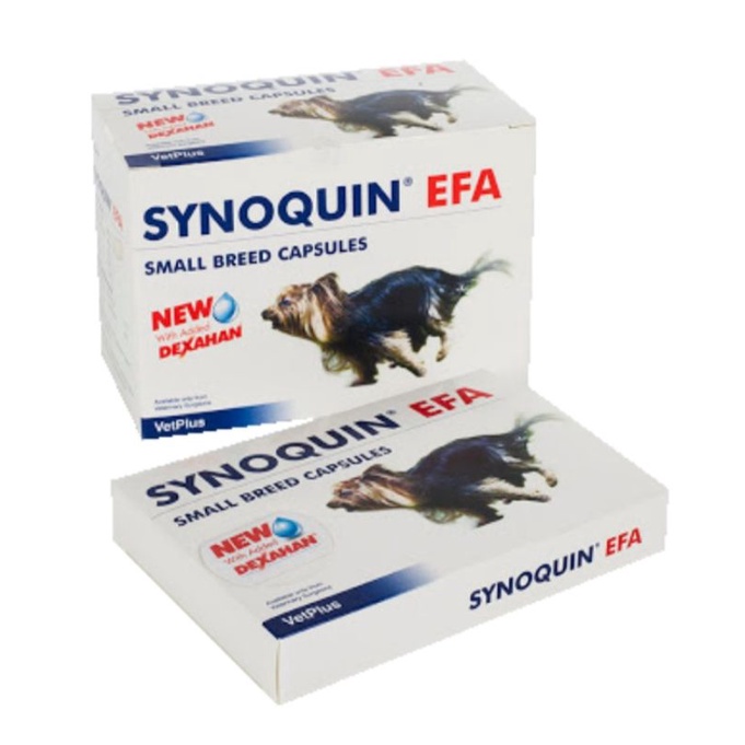 Synoquin Joint for Dogs บำรุงข้อ มีให้เลือกทั้ง Tablets และ Capsule ...