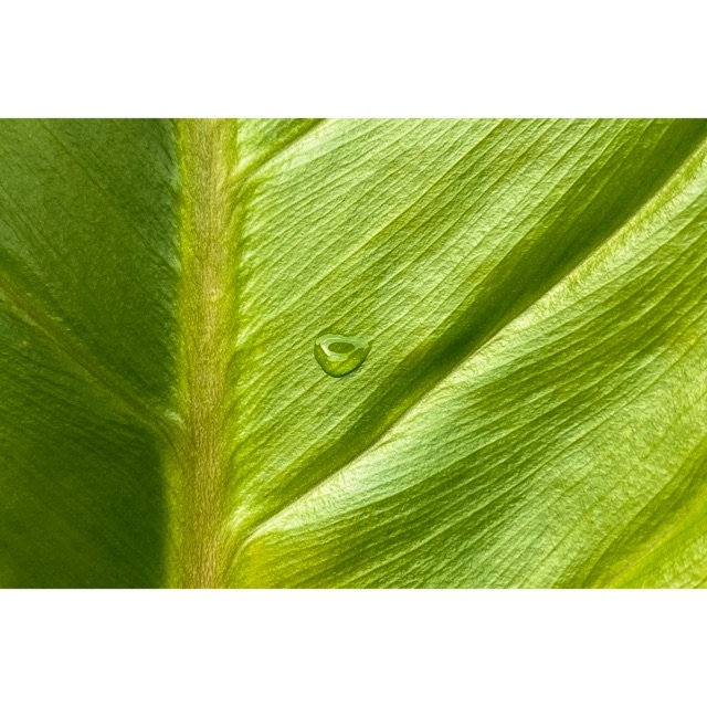 torrest.CMI, ร้านค้าออนไลน์ | Shopee Thailand