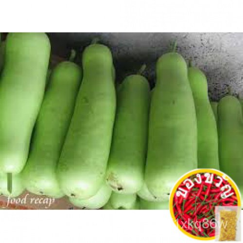 UPO Seeds 3grams 15-25 pcs Bottle Gourd Tambuli Vegetables Fruit Herbs ...