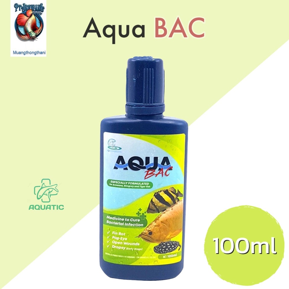 AQUA BAC 100 ml ผลิตภัณฑ์รักษาโรคปลามังกร กระเบน เสือตอ แผล เกล็ดพอง ...