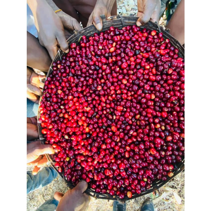 Guji Hambela Buku Abel Ethiopia Natural process ขนาด 200 กรัม คั่วอ่อน - anniecoffeeroaster ...