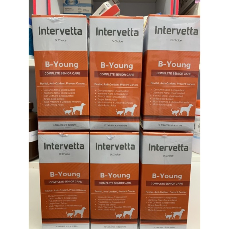 intervetta b young ถูกที่สุด พร้อมโปรโมชั่น มิ.ย. 2025 | BigGoเช็คราคาง่ายๆ