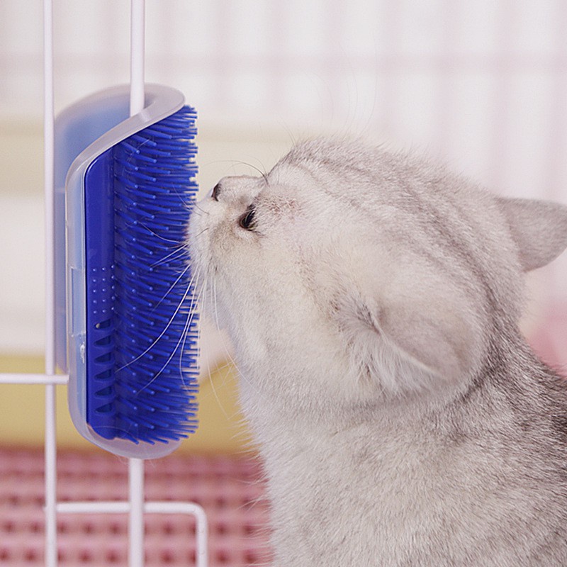 Newแปรงขนแมว ติดเสา แปรงนวดขนแมว แปรงหวีขนแมว พร้อมช่องใส่ catnip ที่ช่วยให้แมวผ่อนคลาย P027 ...