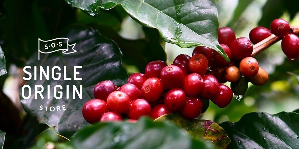 Single.Origin.Store, ร้านค้าออนไลน์ | Shopee Thailand