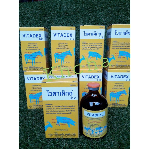 ไวตาเด็กซ์ บี12 VITADEX B12 100ml. - big_banksg - ThaiPick