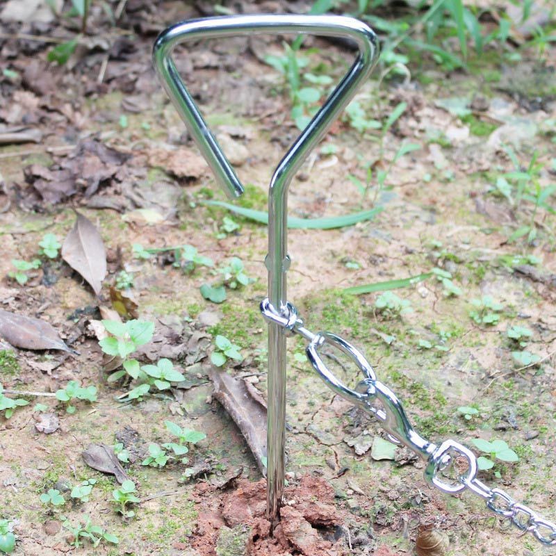 Spiral Dog Stake with Double Head Tie Out Cable Set for Yard Camping ...
