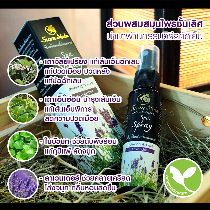 Spa Spray สปา สเปรย์ สมุนไพรสกัดเย็น บรรเทาอาการปวดเมื่อย ปวดศีรษะ ปวด ...