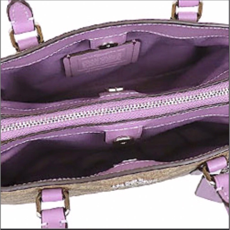 กระเป๋าถือ COACH f29434 MINI SAGE CARRYALL IN SIGNATURE CANVAS Jasmine ...