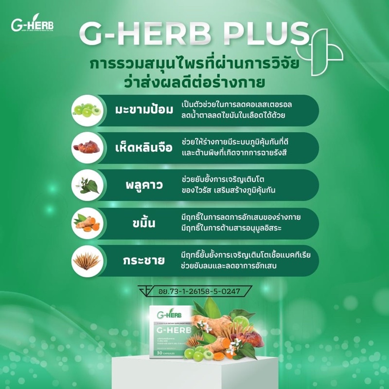 จีเฮิร์บพลัส (G-herb Plus) อาหารเสริมสร้างภูมิคุ้มกัน - gherb_th - ThaiPick