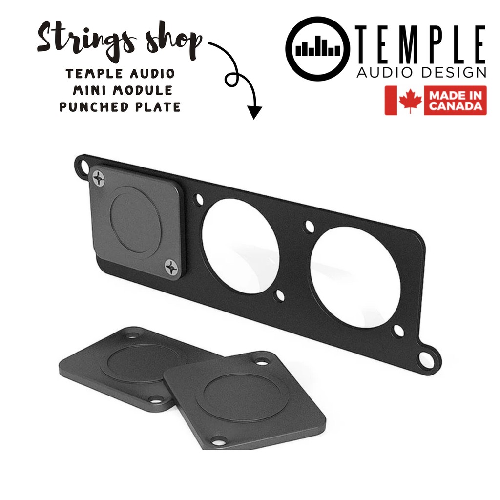 Temple Audio Mini Module Punched Plate | Shopee Thailand