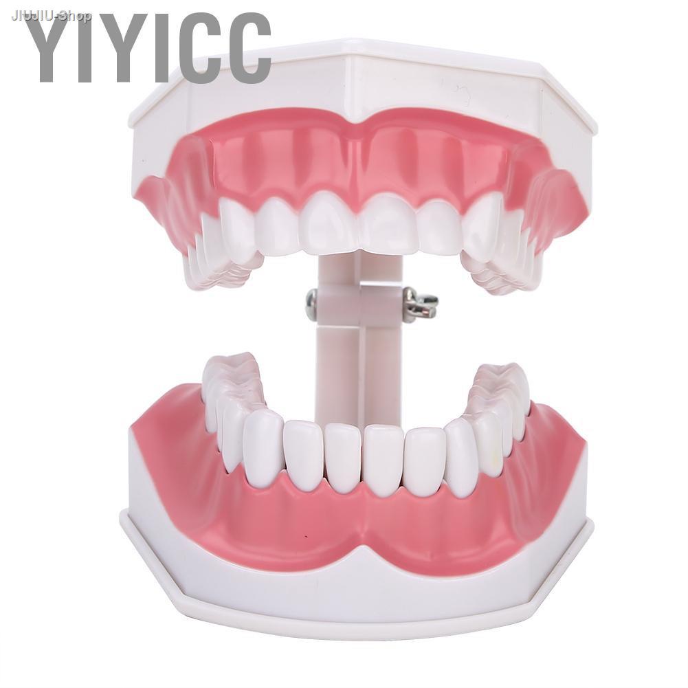 styleYiyicc Dental Tooth Model Studying Standard Teeth Teaching Cavity ...