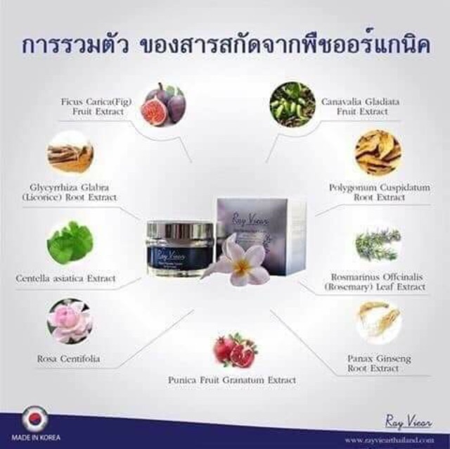 Ray Viear Plant Placenta Night Cream - nannie02 - ThaiPick