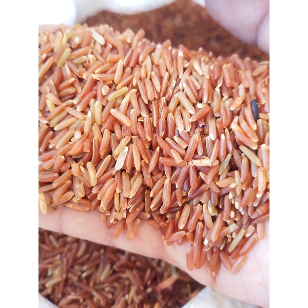 spalak, ร้านค้าออนไลน์ | Shopee Thailand