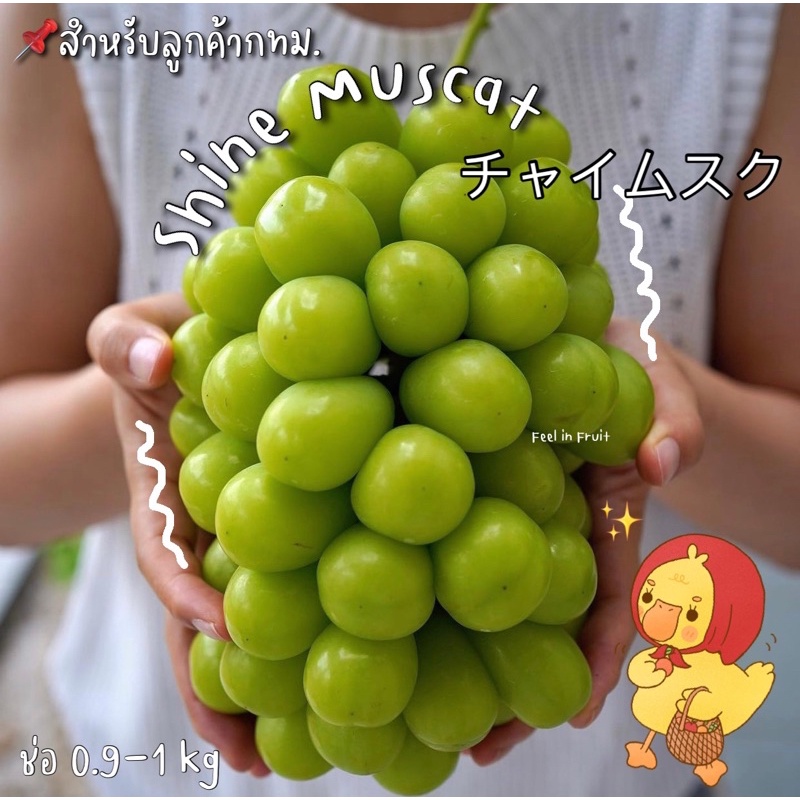 องุ่นไชน์มัสคัส チャイムスク (Shine Muscat) (ช่อ 0.7-0.8 kg) เนื้อเจลลี่ หวาน ...
