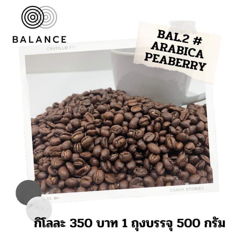 Balance Rosted Coffee Beans เมล็ดกาแฟอาราบิก้าแท้100 1กก ...