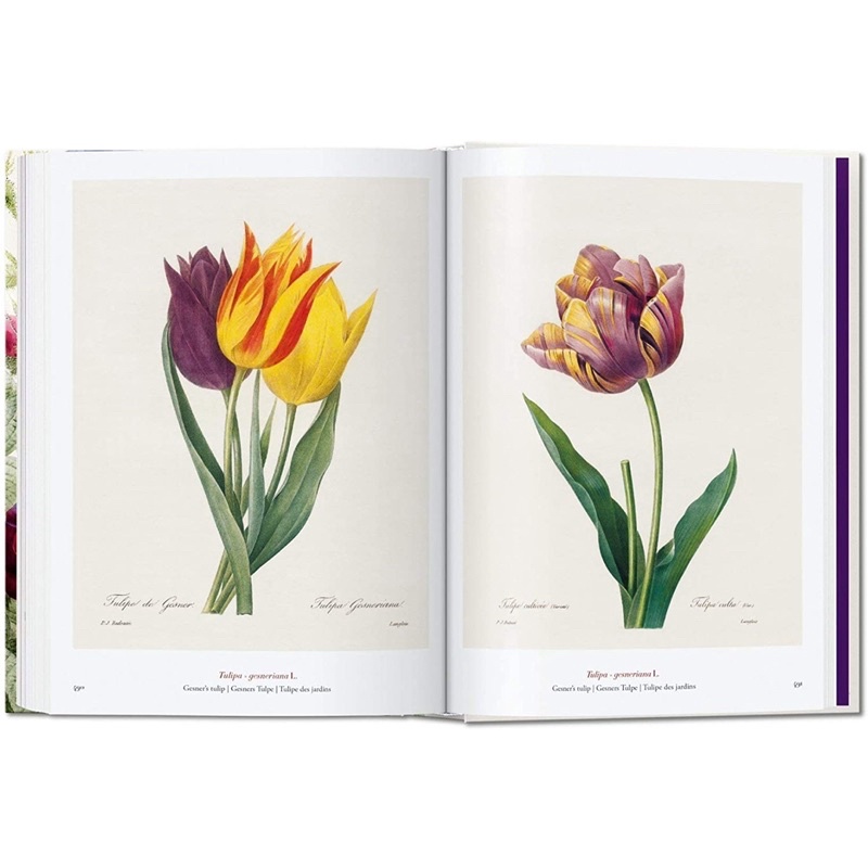 REDOUTE BOOK OF FLOWERS (TASCHEN 40) - praw.07 - ThaiPick