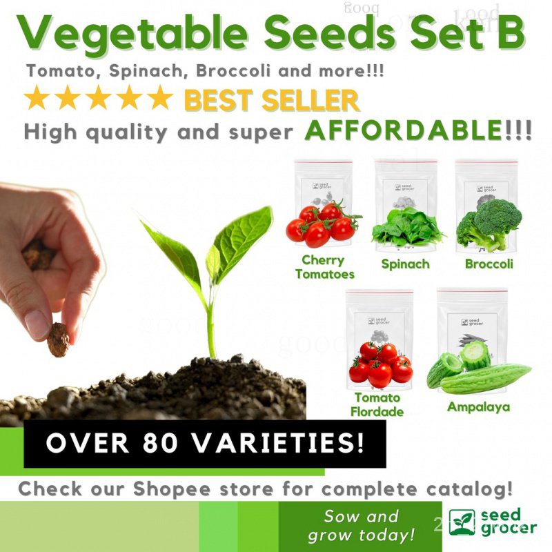 High quality vegetable seeds collection B- Cherry Tomato seeds red ...