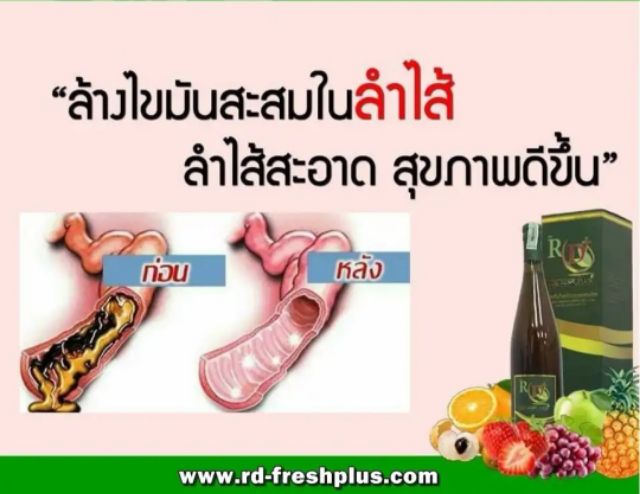 RD Fresh Plus (อาร์ ดี เฟรช พลัส) - zaima2534 - ThaiPick