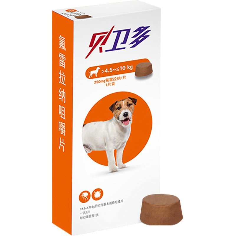 fCpJ สุนัขตัวเล็ก, สุนัขตัวเล็ก, สุนัขตัวเล็ก4.5-10kgสุนัขสุนัขการงาน ...