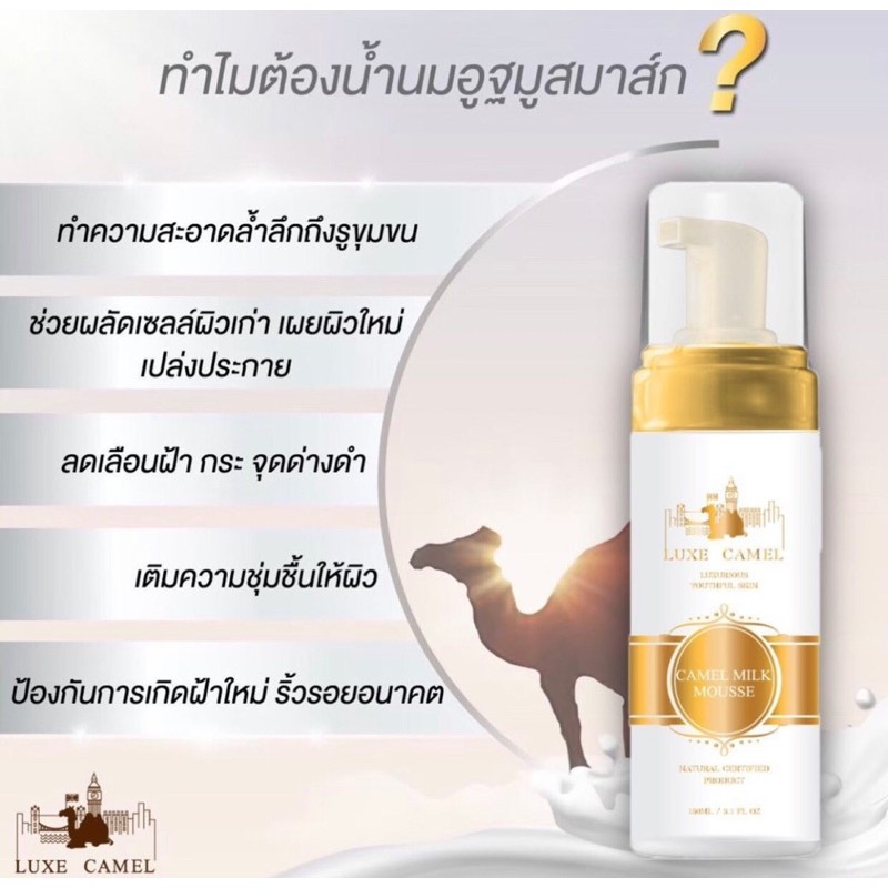 เก็บปลายทางได้ มูสนมอูฐล้างหน้า Luxe Camel Milk Amazing Mousse ลุกซ์ คาเมล คาเมล มิลค์ อเมซิ่ง ...